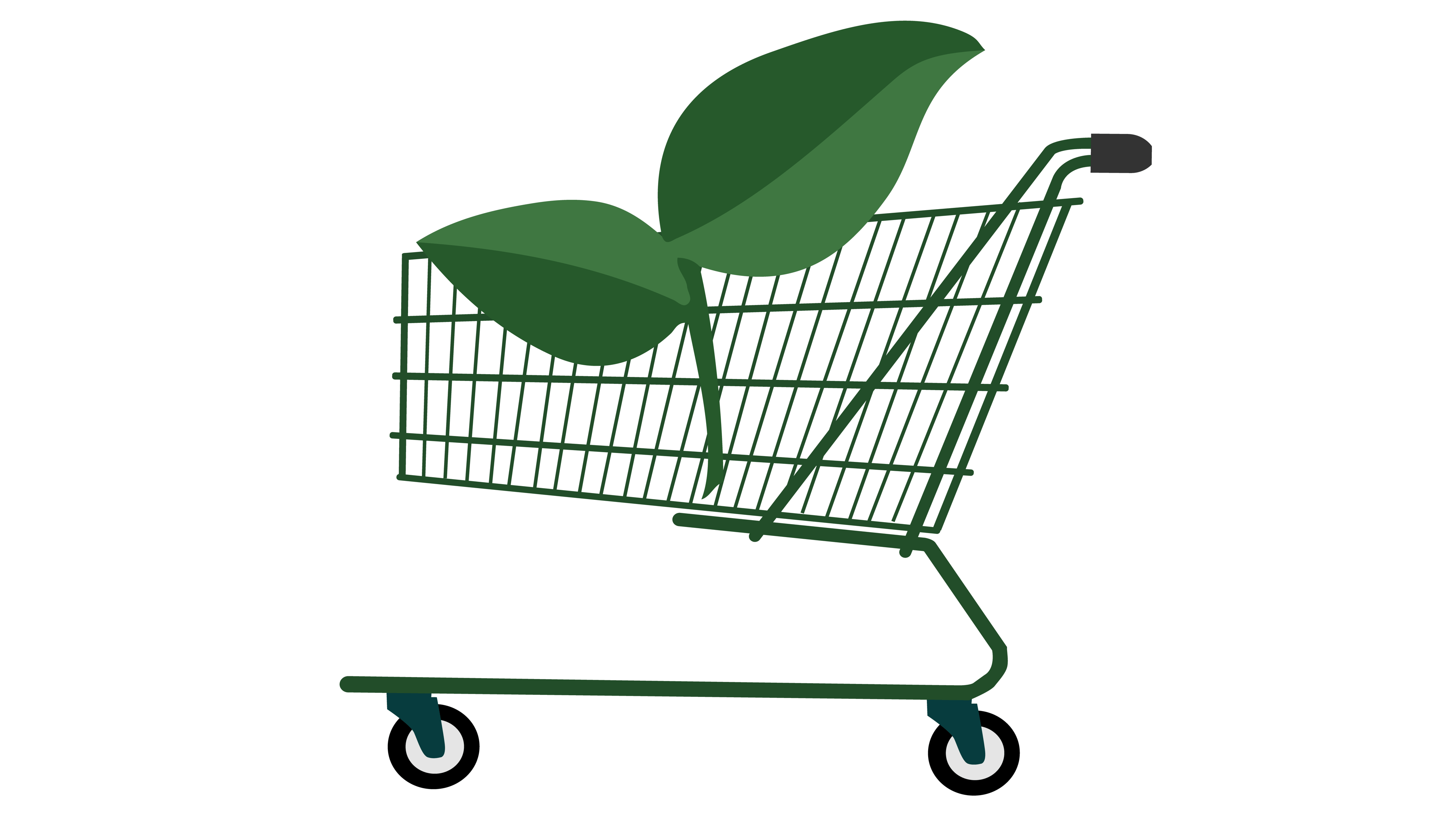 Incoterms DDP e DAP in parole semplici – La Posta